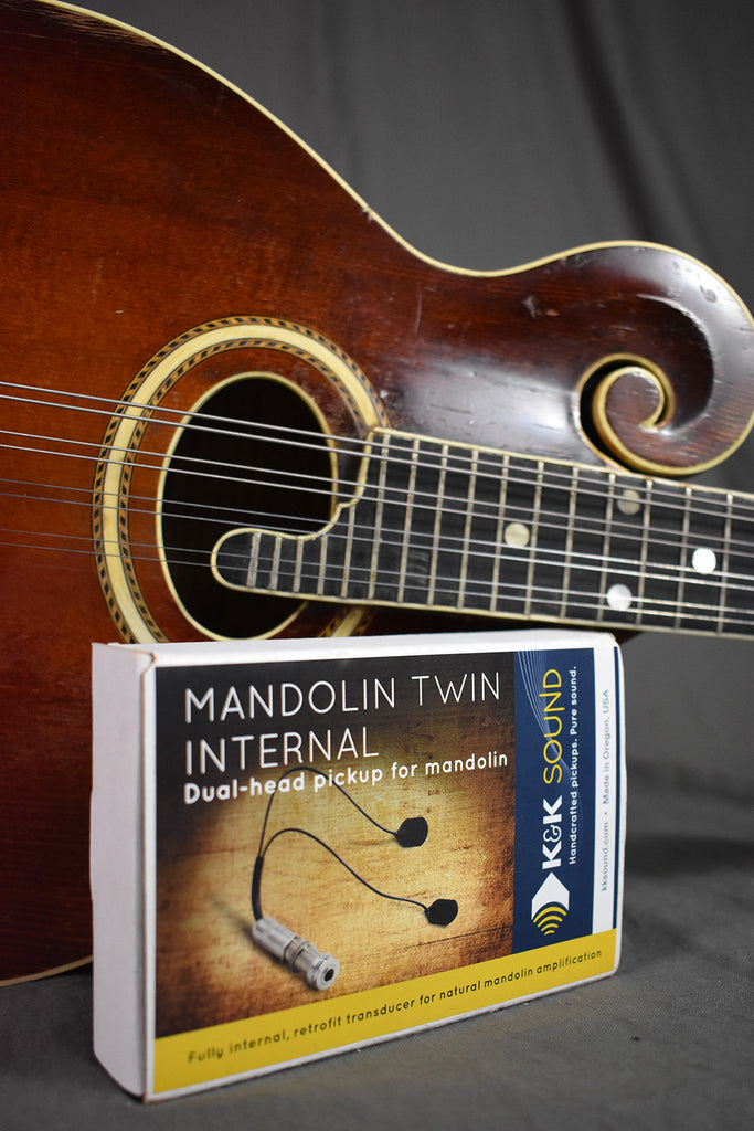 Mandolin Twin Internal Pickup – Telluride Music Co.